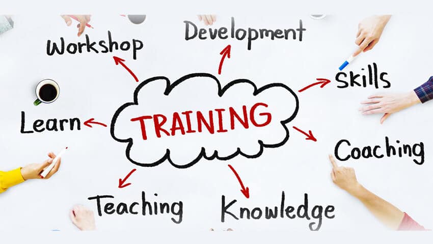 Training Team & TTT Programme - Rise Enterprises